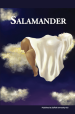 Salamander Magazine – A magazine for poetry, fiction, & memoirs